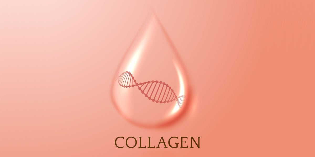 The Science Behind Collagen Supplements: A Deep Dive — Blue Sky Vitamin